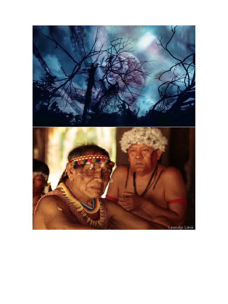Fotos Xapiripe | PDF