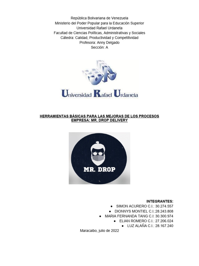 Herramientas Basicas para Las Mejoras de Procesos MR Drop Delivery | PDF | Business | Entrega ...