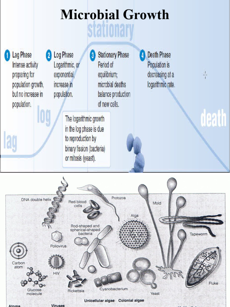 2 - Microbial Growth | PDF | Microorganism | Cofactor (Biochemistry)