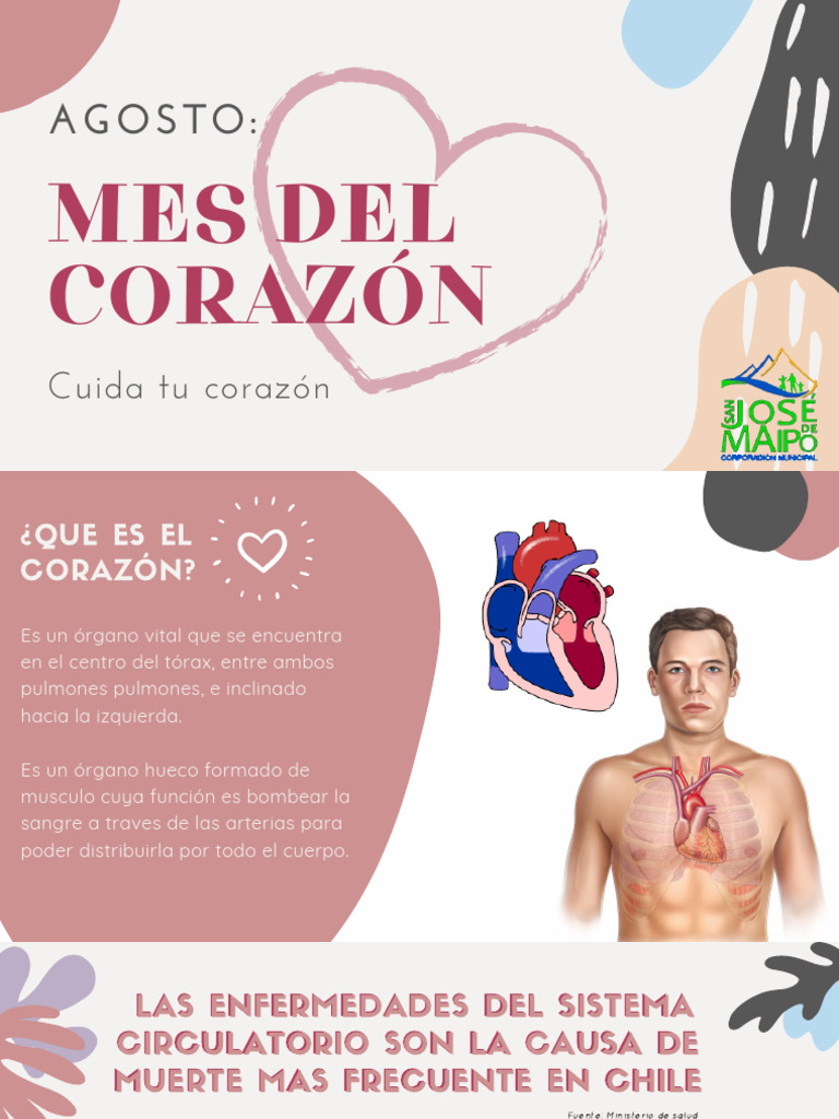 Mes Del Corazón | PDF | Infarto de miocardio | Hipertensión