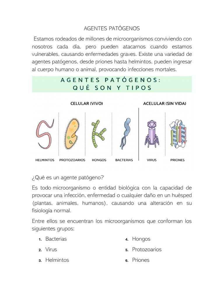 Tipos de Agentes Patógenos y Ejemplos | PDF | Patógeno | Las bacterias