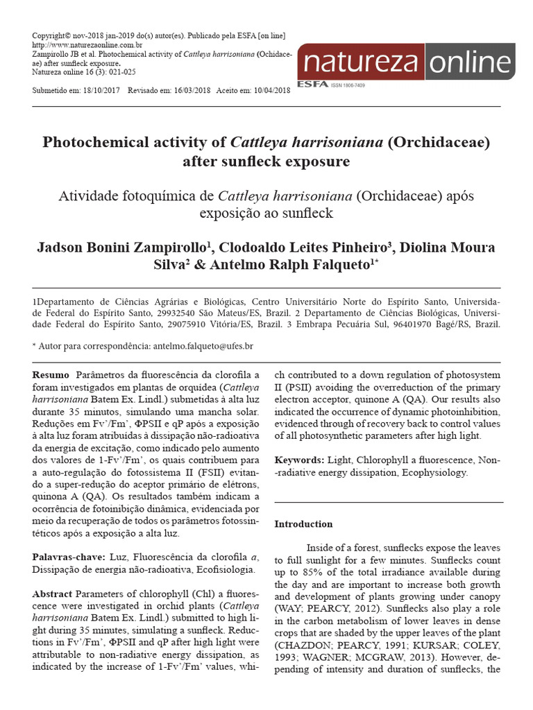 2019 - Photochemical Activity of Cattleya Harrisoniana (Orchidaceae ...