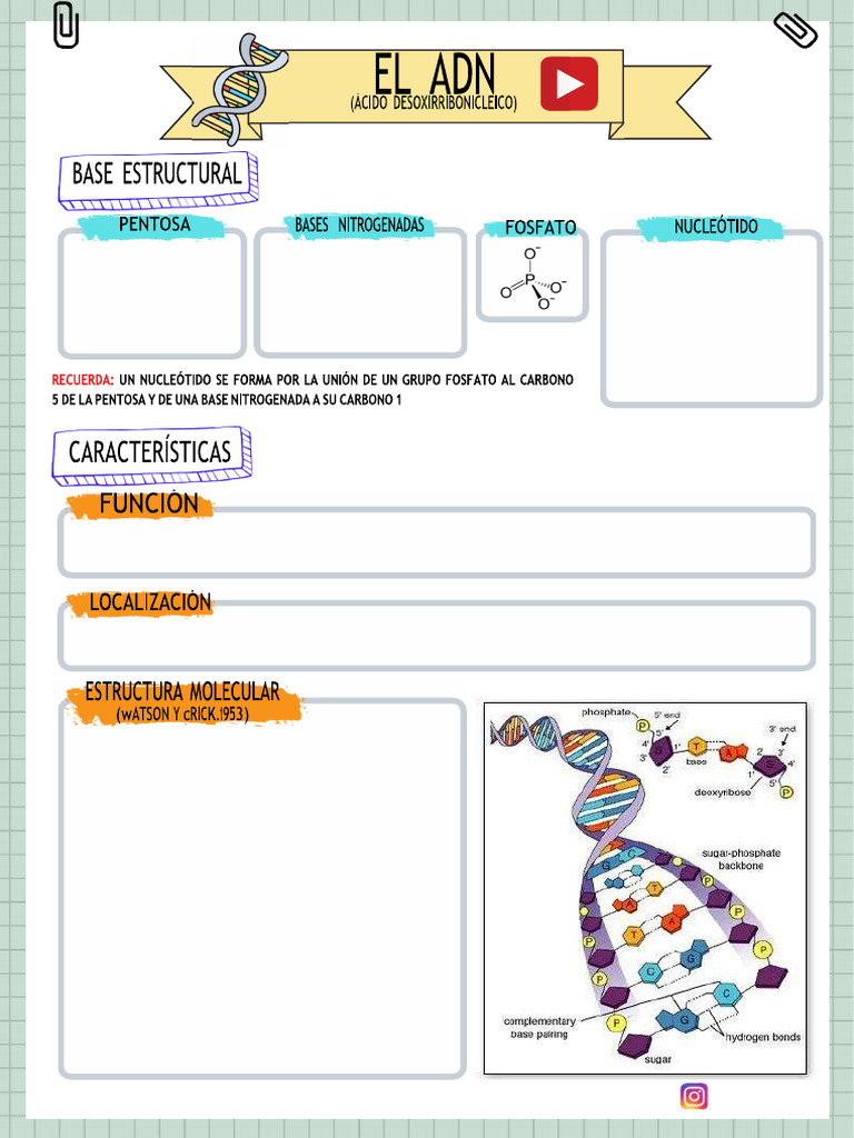 TP Adn Arn Sintesis de Proteínas | PDF