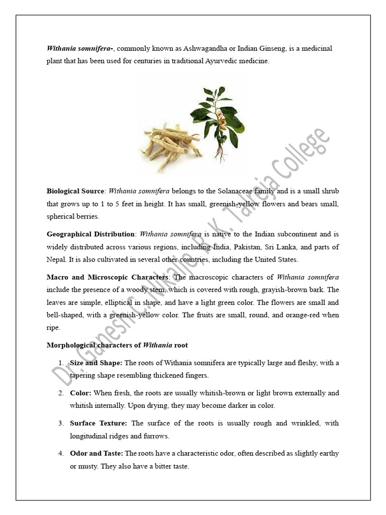 MSc Sem II P IV Medicinal Botany_NEP | PDF | Fennel | Dietary Fiber