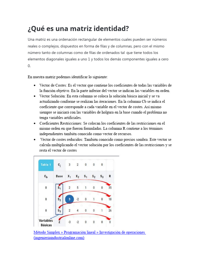 Qué Es Una Matriz Identidad | PDF | Métodos y materiales de enseñanza