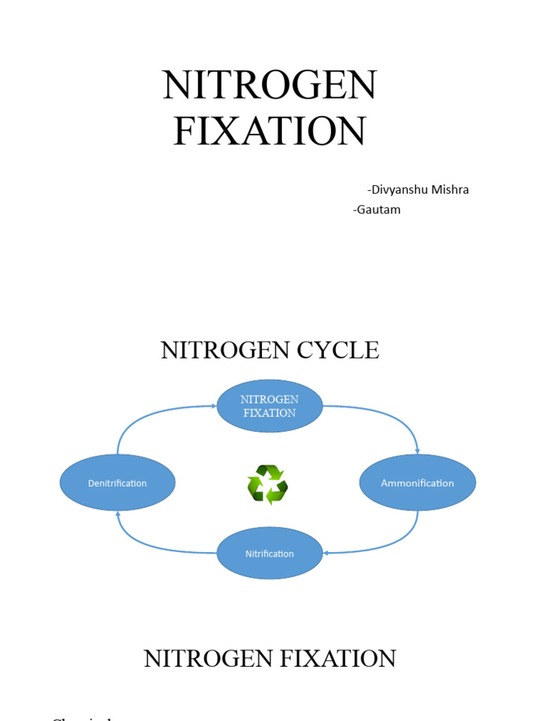Understanding Nitrogen Fixation Processes | PDF | Nitrogen | Earth Sciences