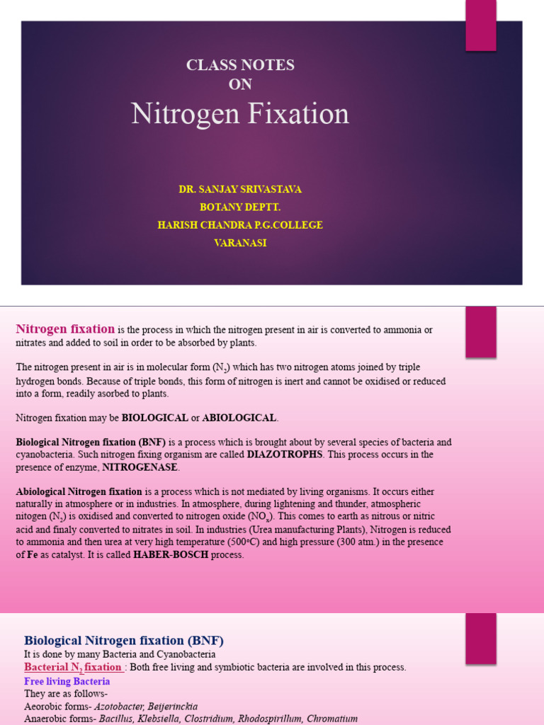 Nirogen Fixation | PDF | Nitrogen | Biology