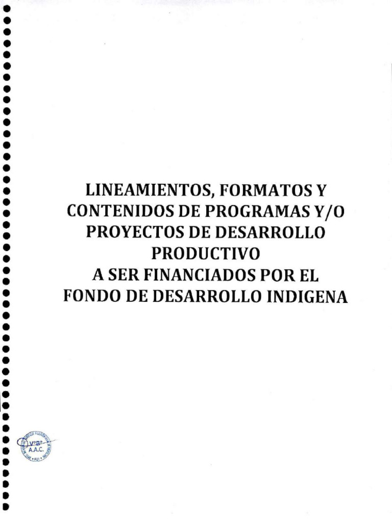 Lineamientos Formatos y Contenidos Fdi | PDF