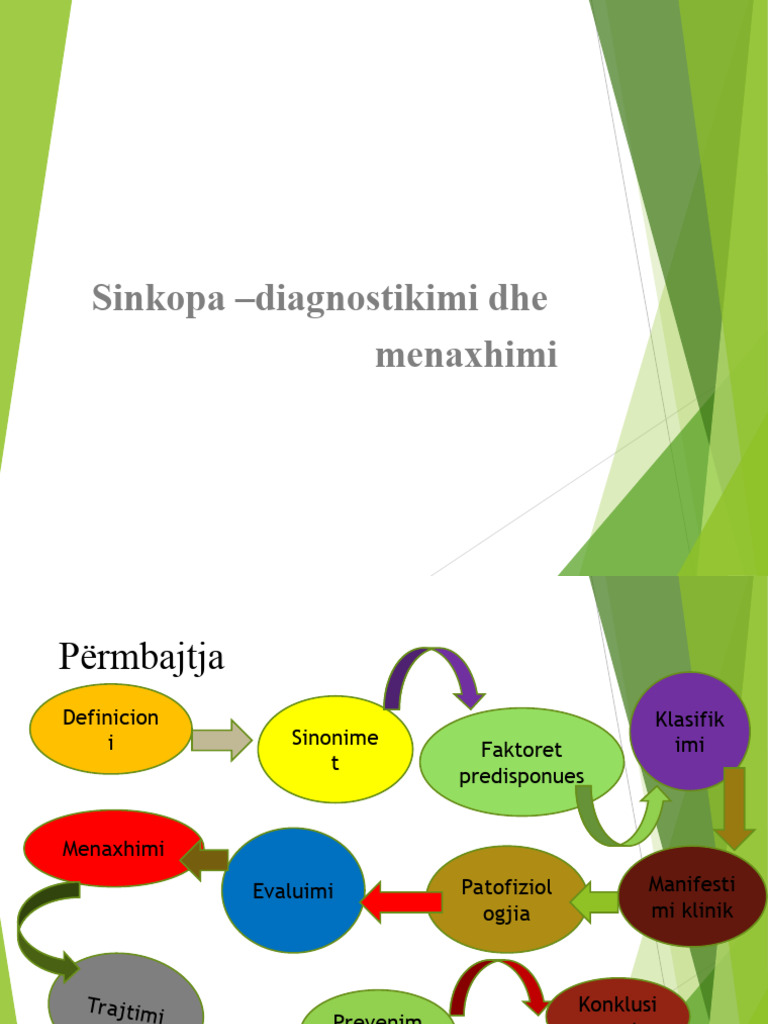 Sinkopa Avdyli | PDF