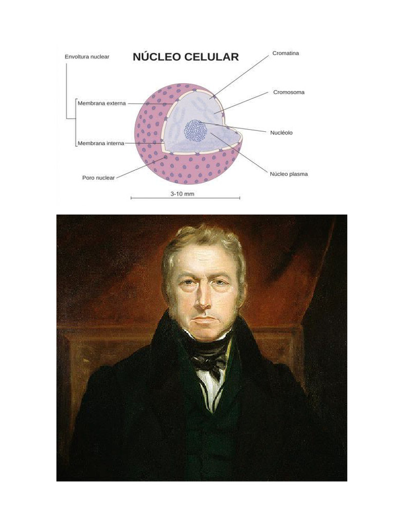 Robert Brown | PDF