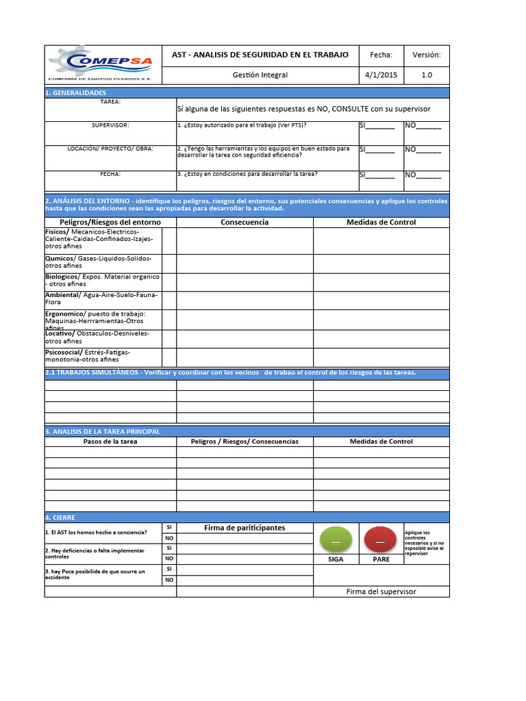 Formato - AST V.1 | PDF