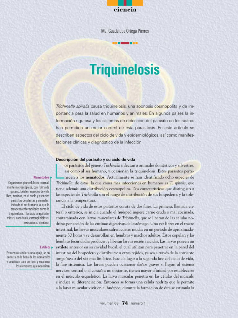 Triquinelosis: Ciclo y Diagnóstico | PDF | Especialidades Medicas ...