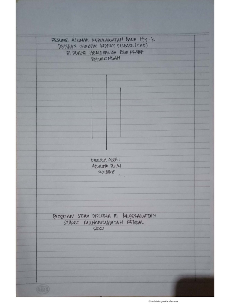 Resume HD 1 | PDF