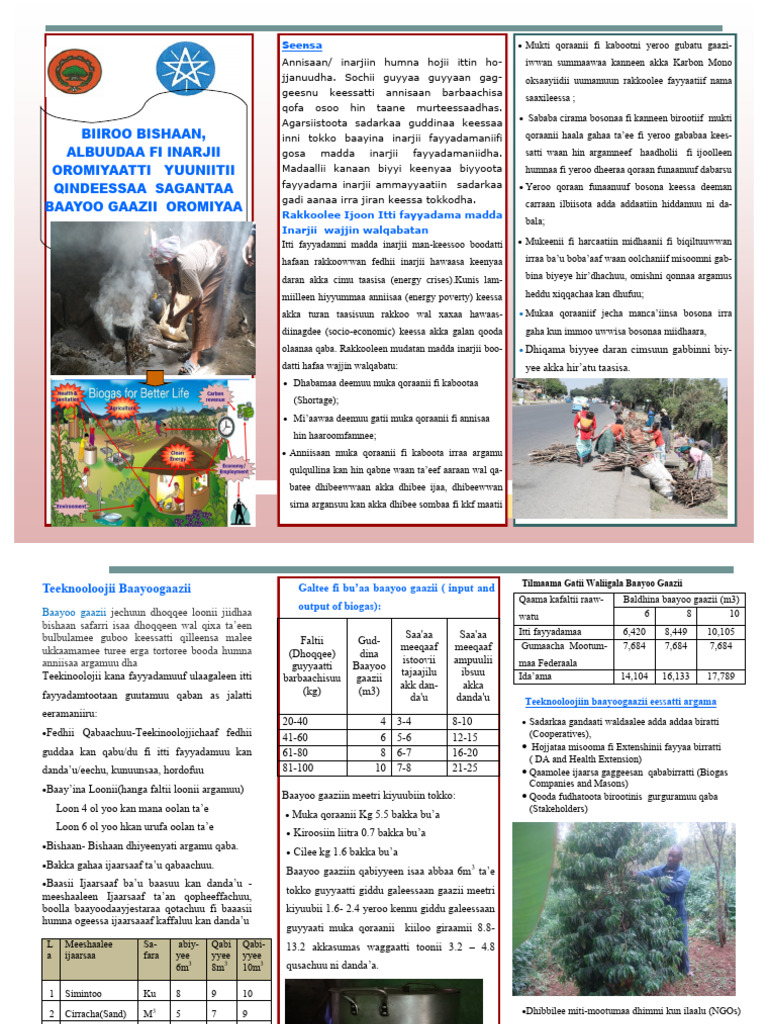 Bio Broucher 12 1000 | PDF