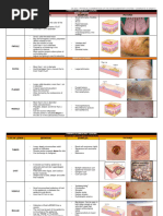 STAR Skin Tear Tool 04022010 | PDF | Skin | Wound