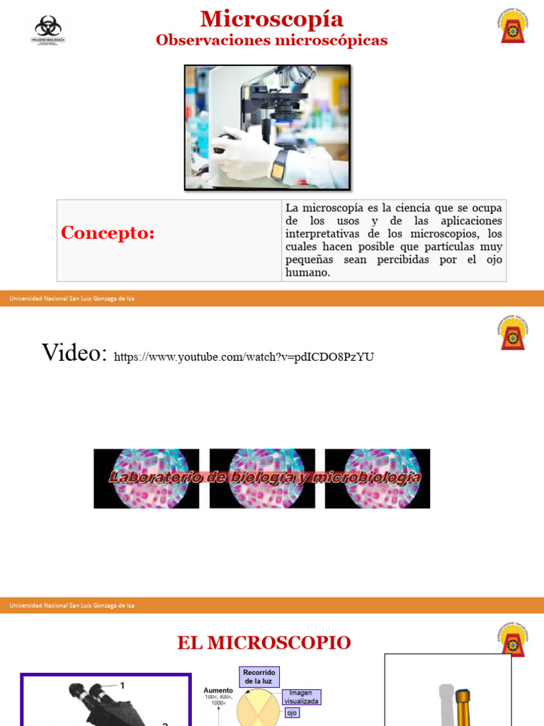 Introducción a la Microscopía y su Uso | PDF | Microscopio | Óptica