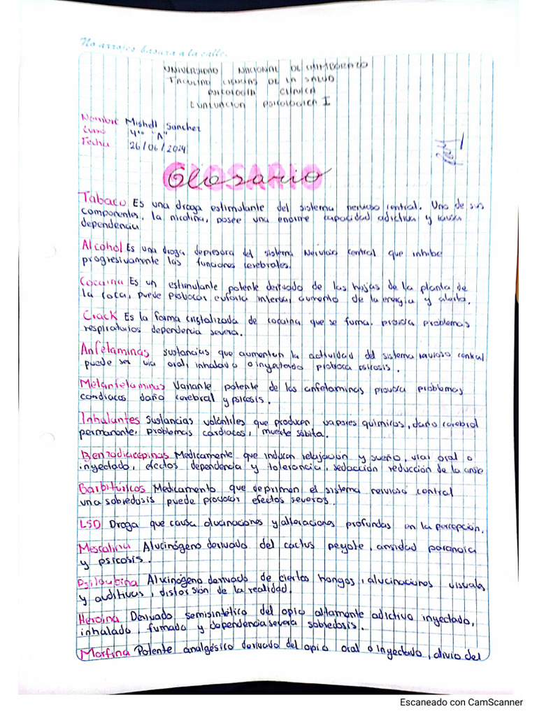 Documento de Mishell ? | PDF