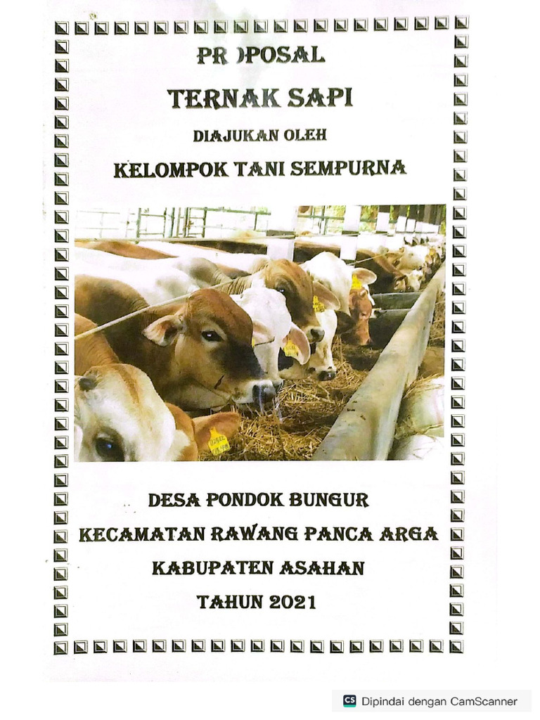 Proposal Ternak Sapi | PDF