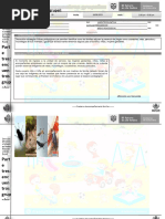 Planeacion Folclorito | PDF