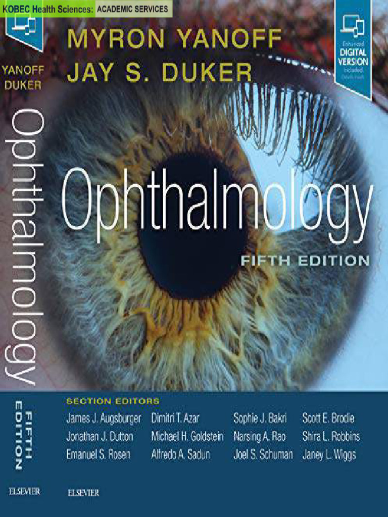 Understanding Light and Optics | PDF | Optics | Light