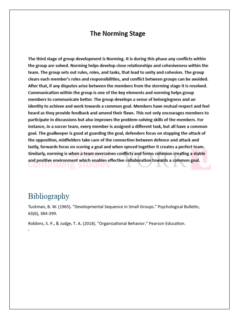 The Norming Stage | PDF