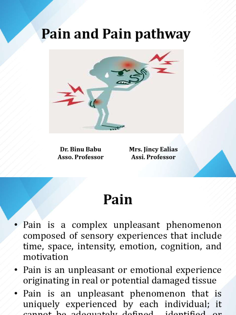 painpathway-220321084524 | PDF | Pain | Paresthesia
