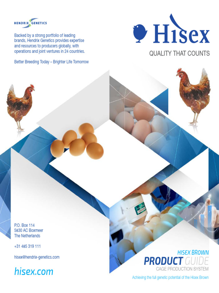 Hisex Brown | PDF | Poultry Farming | Birds