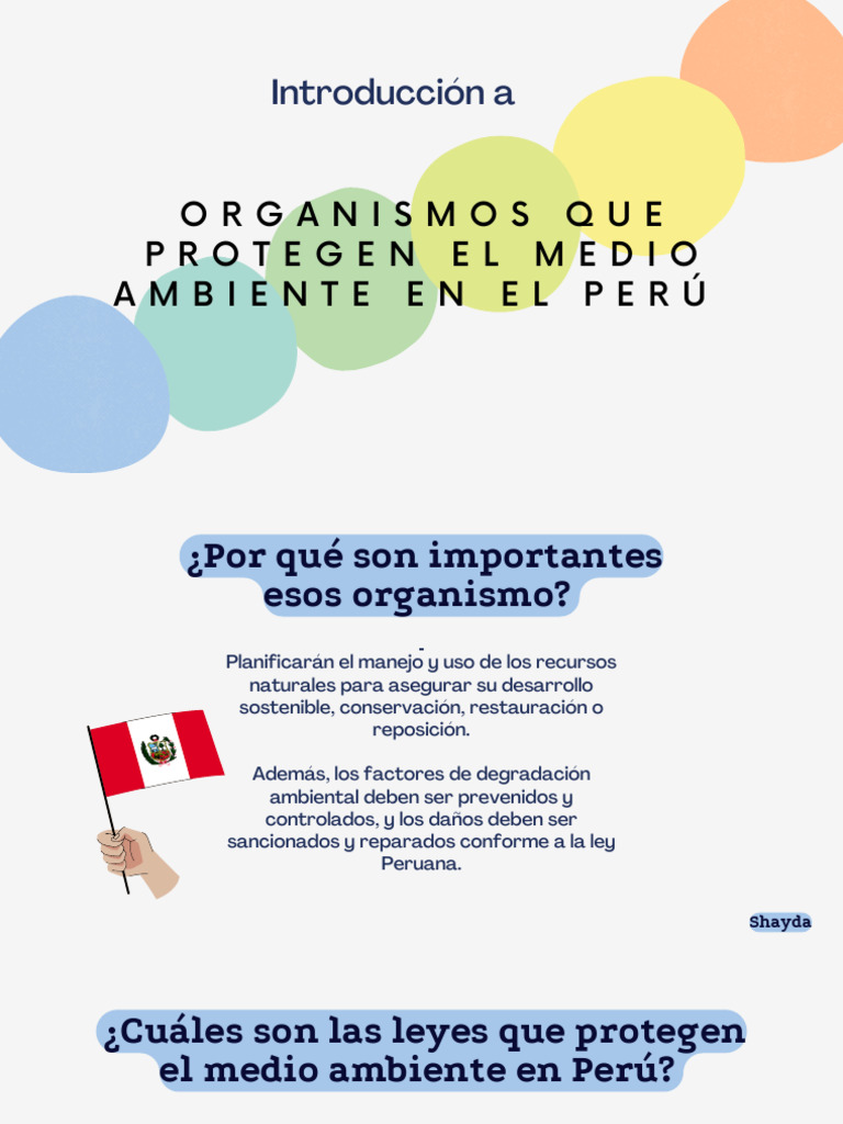 Organismos Que Protegen El Medio Ambiente Del Peru | PDF | Entorno ...