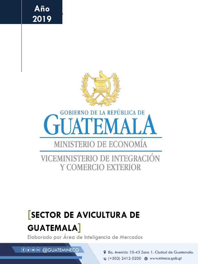 Informe - Del - Sector - Avicola MINECO | PDF | Carne | Guatemala