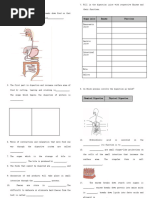 REVISION WORKSHEET ON DIGESTIVE SYSTEM-Gr 6 | PDF | Digestion | Human ...