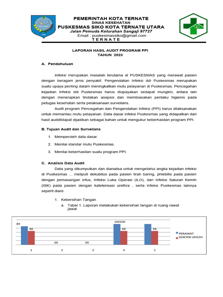 Data Pengawasan Atau Hasil Audit Program Ppi | PDF