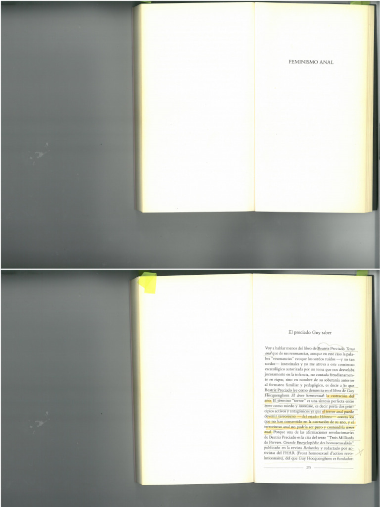 Maria Moreno Feminismo Anal Pdf Pdf