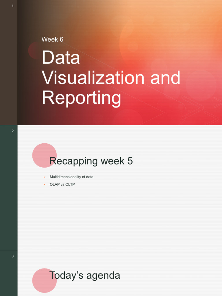 Data Visualization and Reporting Insights | PDF | Computing ...