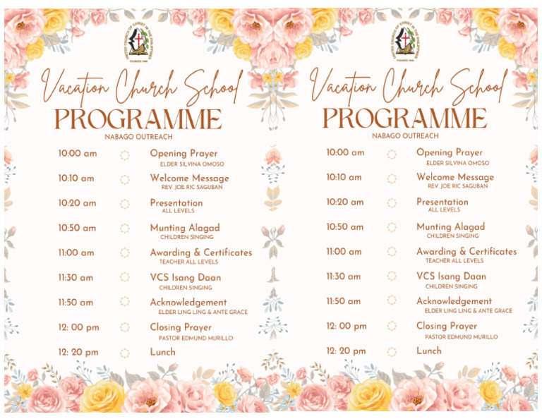 VCS Programme | PDF