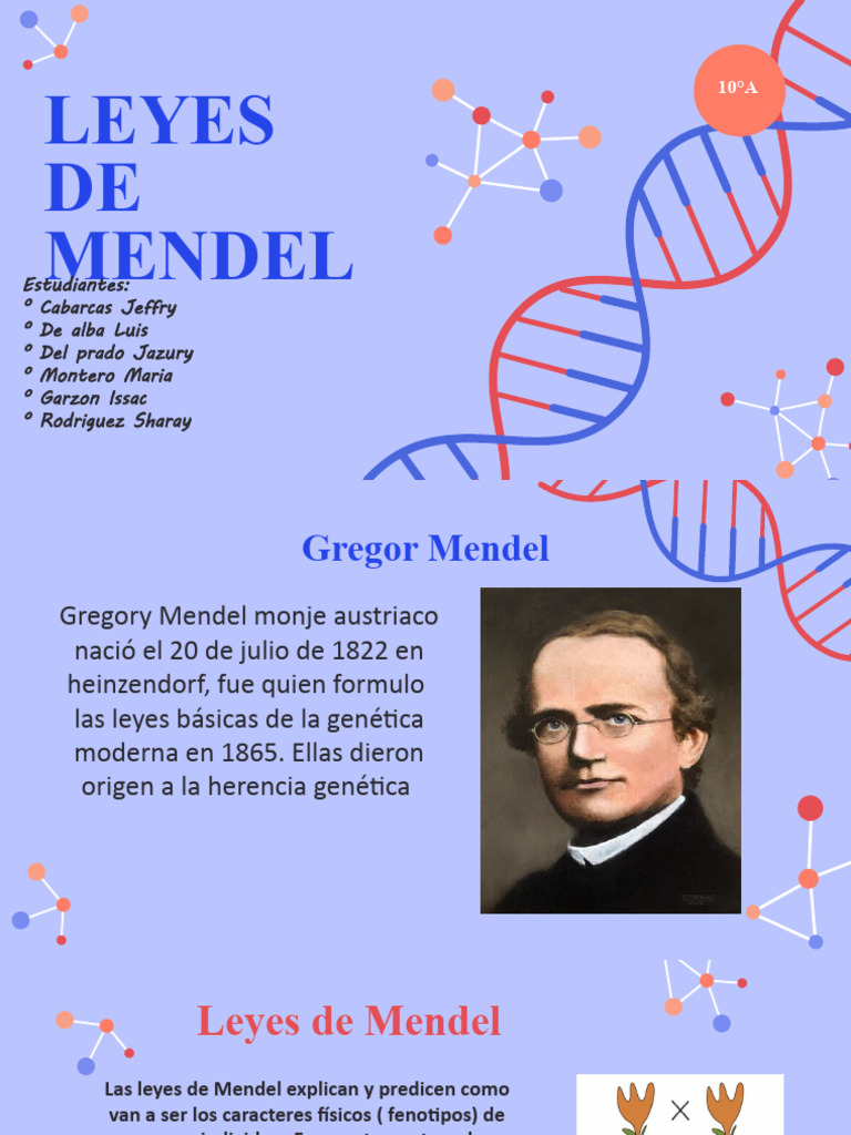 Leyes de Mendel | PDF | Dominancia (Genética) | Evolución biológica