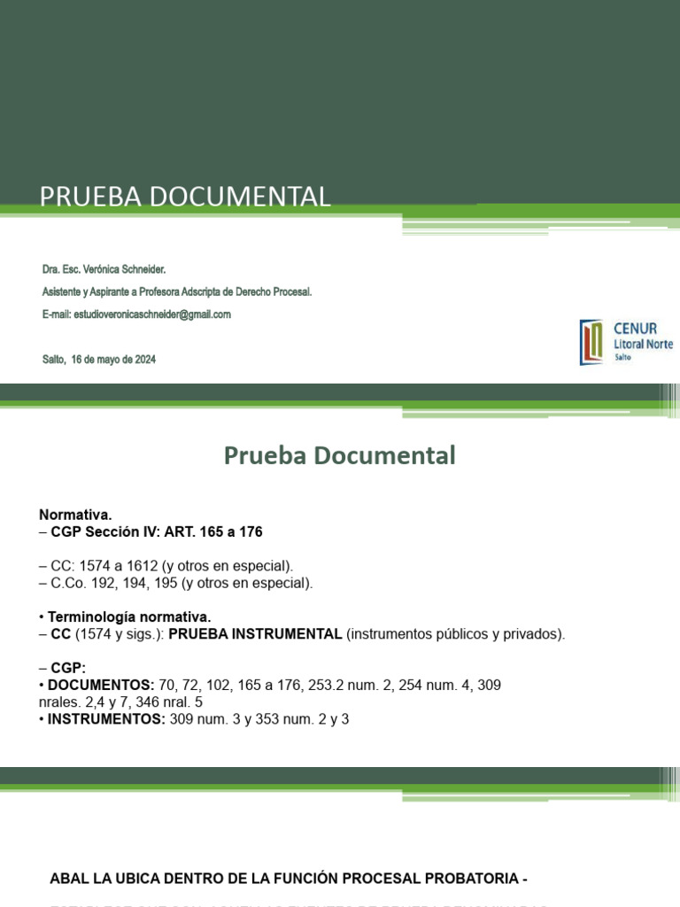 Prueba Documental Schneider | PDF | Justicia | Crimen y violencia