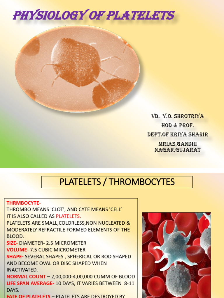 PHYSIOLOGY OF PLATELETS | Download Free PDF | Coagulation | Platelet