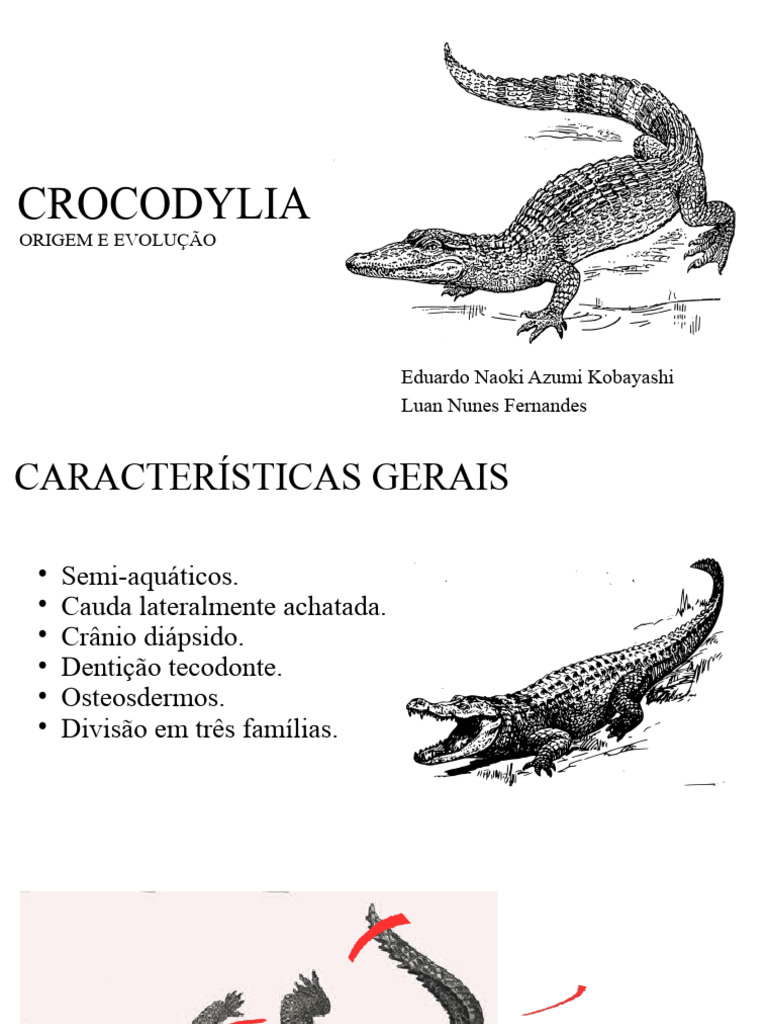 Evolução e Características dos Crocodylia | PDF