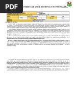 Modelo de Planificación AÑO 2025 | PDF