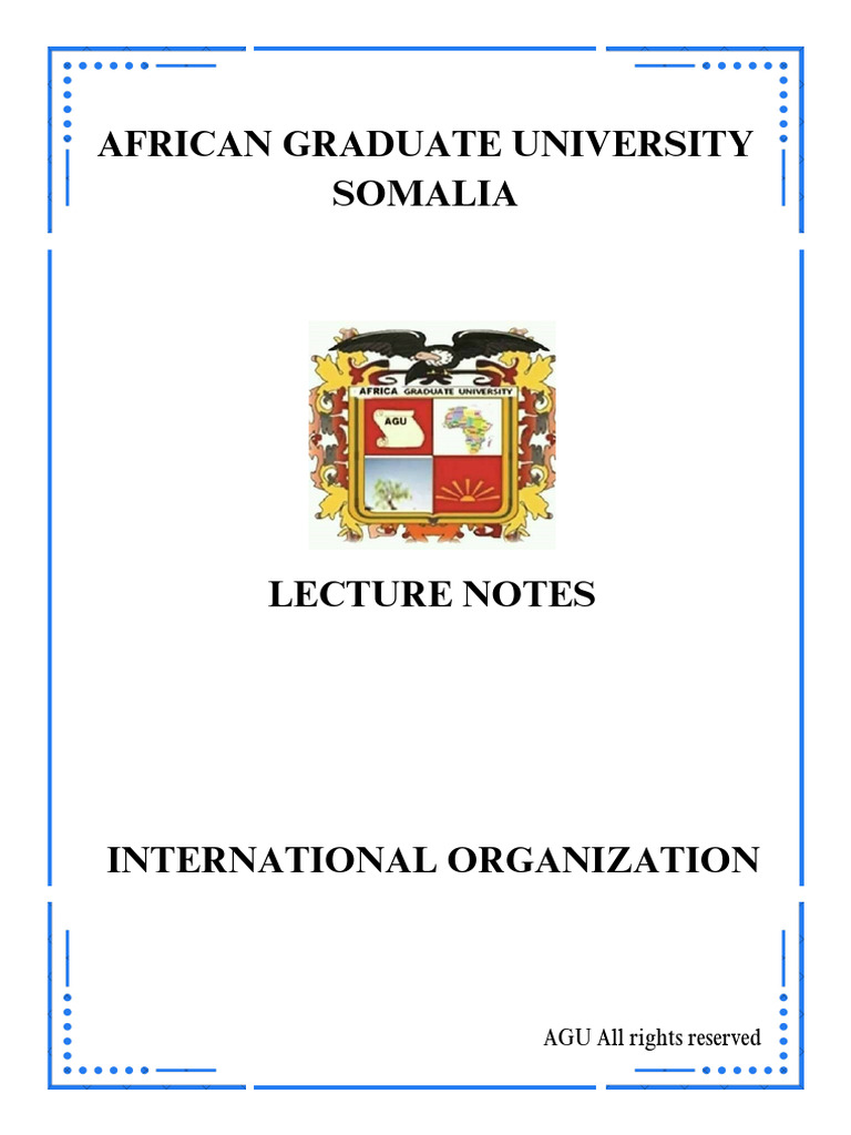 International Organization | PDF | Governance | World Trade Organization