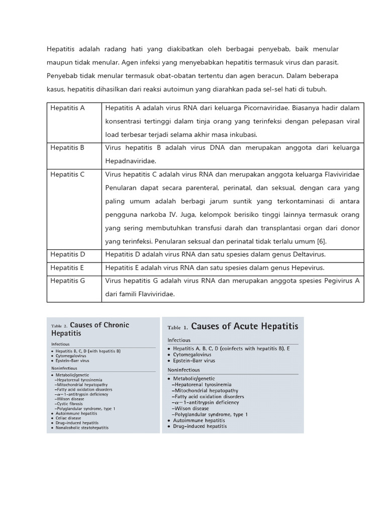 Hepatitis Adalah Radang Hati Yang Diakibatkan Oleh Berbagai Penyebab | PDF
