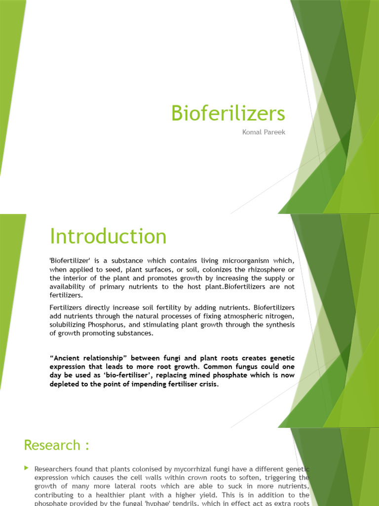 fungi-as-biofertilizer | Download Free PDF | Plant Nutrition | Root