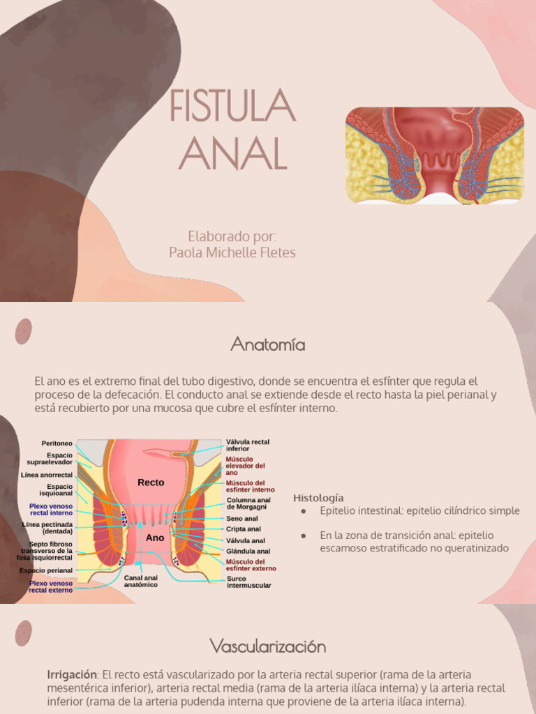 Fistula Anal | PDF | Recto | Diagnostico medico