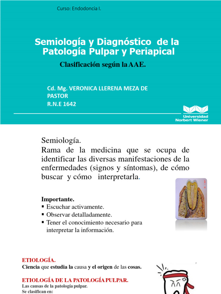 CLASE N°2 Semiologia y Diagnóstico Pulpar y Periapical | PDF | Medicina CLINICA | Odontología