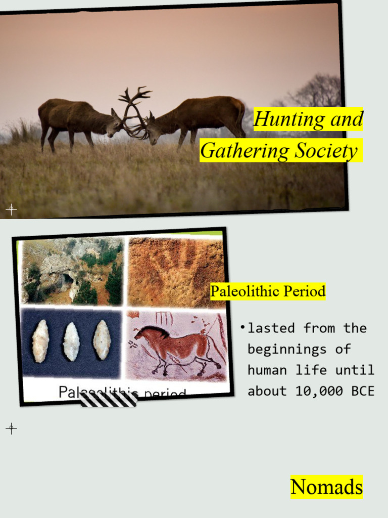 Human Biocultural and Sociopolitical Evolution | PDF | Society ...