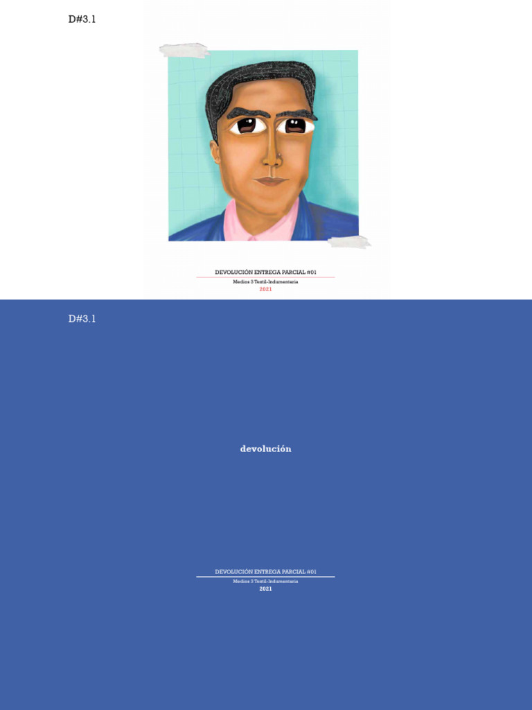 d3 1 Devolucion Entrega 01 2021 Baja | PDF