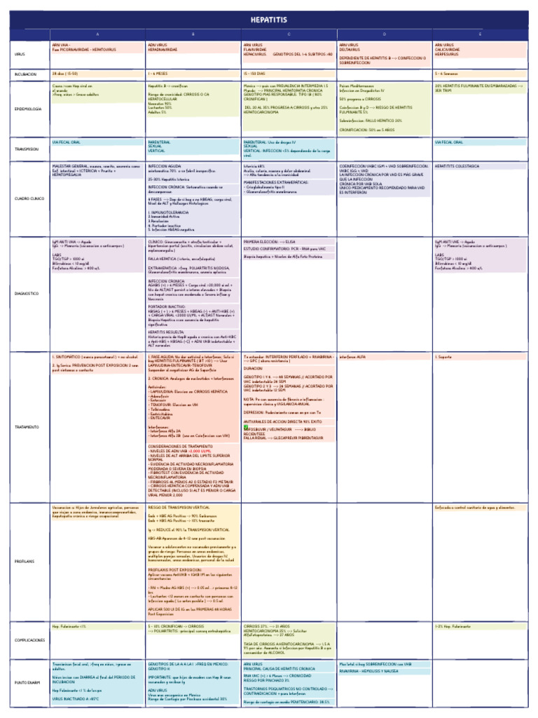 Guía Completa sobre Hepatitis Viral | PDF | Hepatitis B | Hepatitis