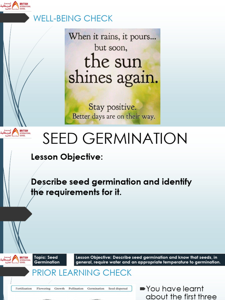 Lesson 3 & 4 - Seed Germination | PDF | Seed | Germination