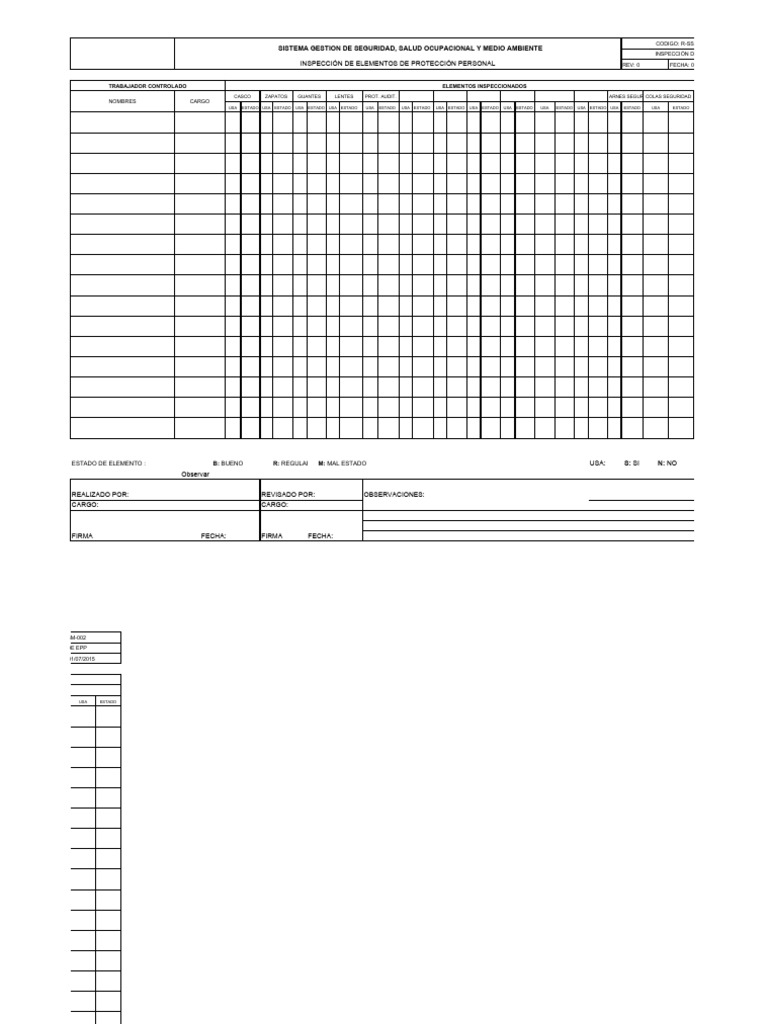 R SSM 002 Inspección EPP | PDF