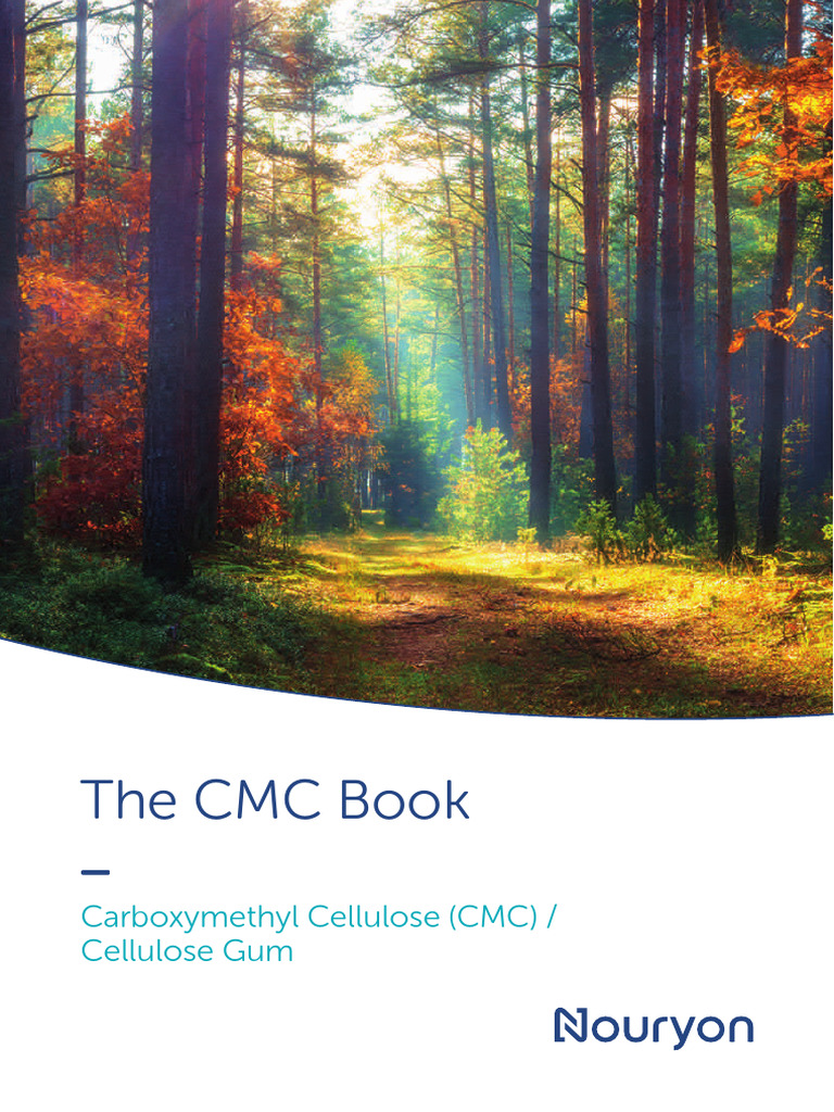 Brochure NaCMC Book | PDF | Cellulose | Rheology